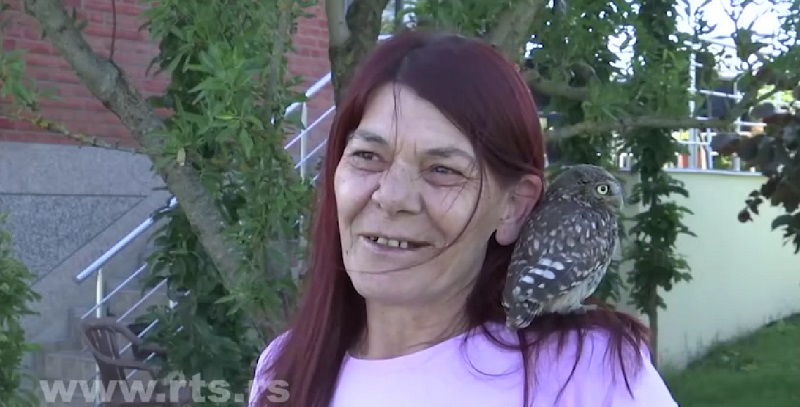 Ozonpress Mlada sova se odomaćila u porodici Bacić u Gornjoj Trepči ...